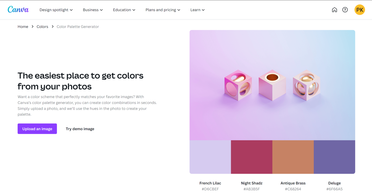 Canva Tips And Tricks: 11 Hidden Canva Features – Simply Web Stuff